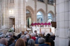 Installation of 3 Chapter Canons - Diocese of Leeds Photographs